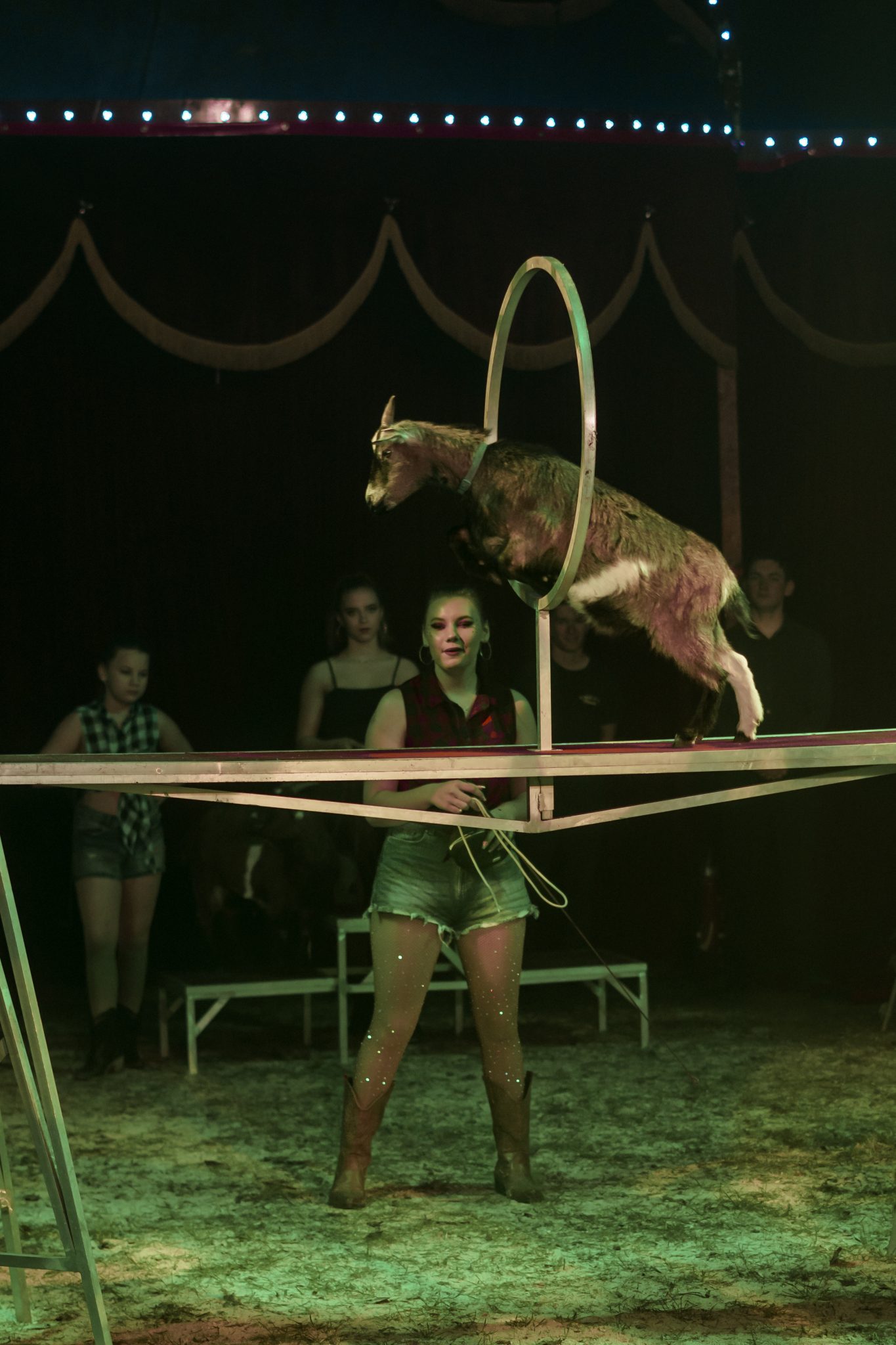 Neue Startseite – CIRCUS FLORIDA